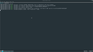 How to listen to Spotify from the Linux terminal with Librespot - Next ...